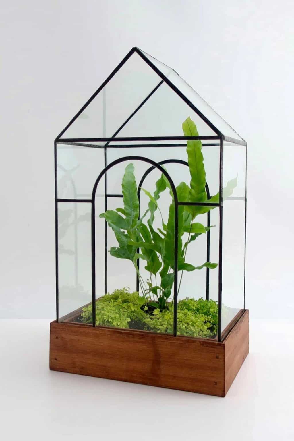 Essential Terrarium Supplies for DIY Projects (+ Examples) - Terrarium ...