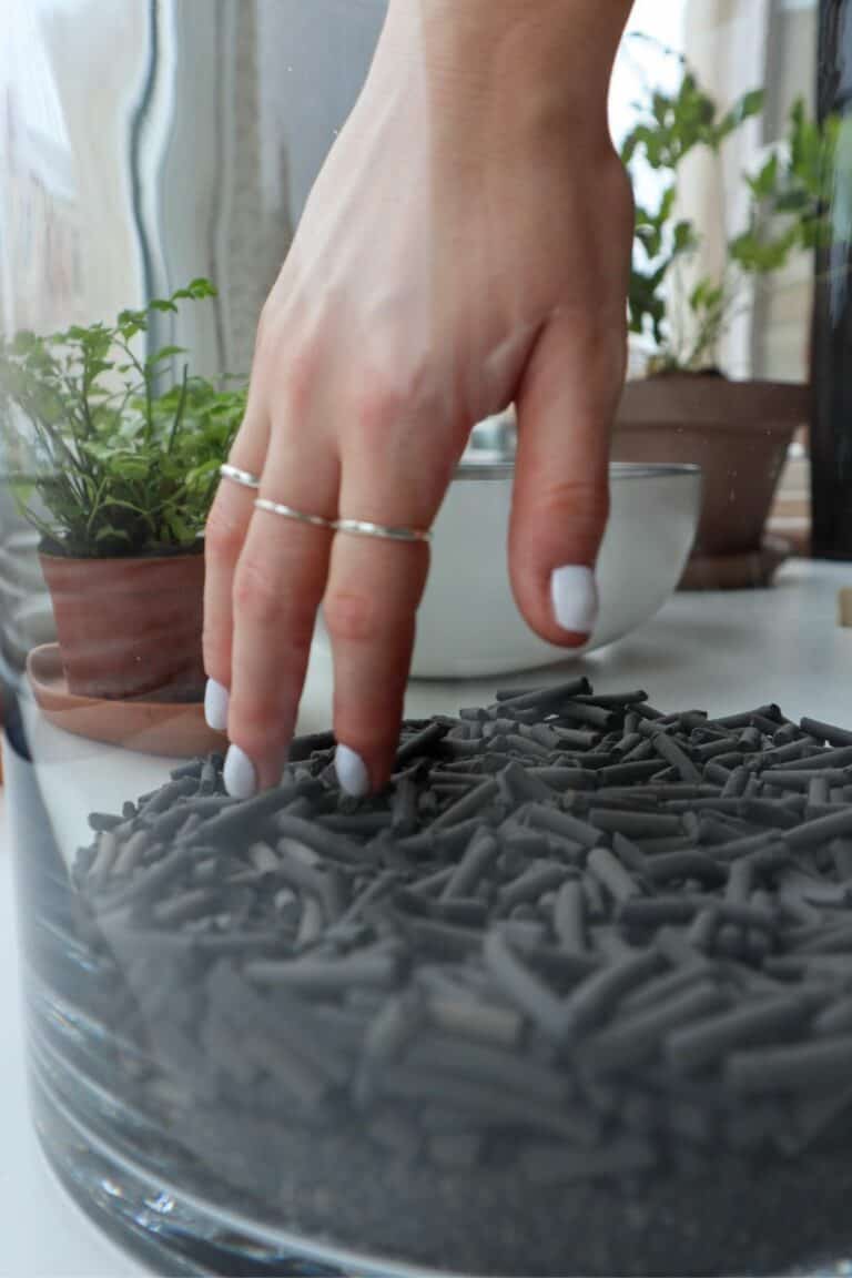 Terrarium False Bottom 101 - How to Make a Drainage Layer