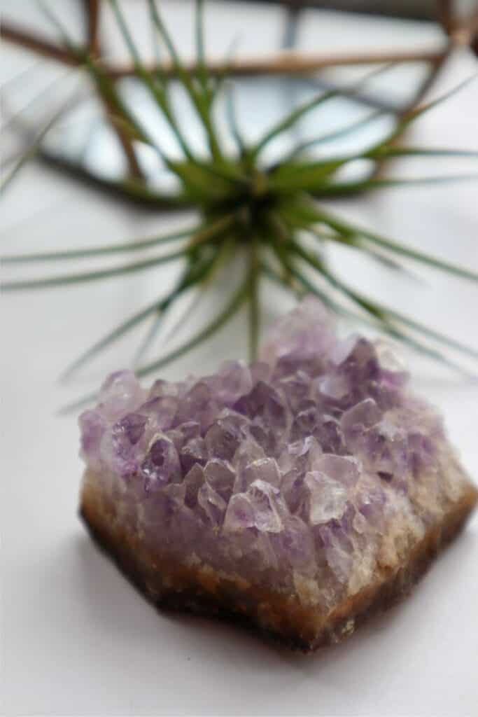 Terrarium Layers: A Step-By-Step Guide to Building Success