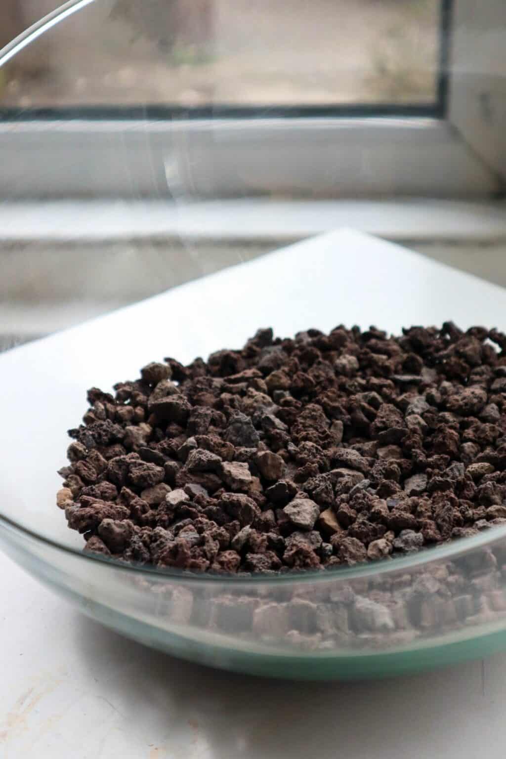 How to Make an Open Terrarium (Best Plants + Fun Ideas) - Terrarium Tribe