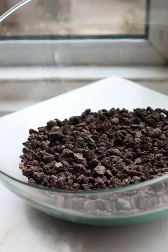 How to Make an Open Terrarium (Best Plants + Fun Ideas) - Terrarium Tribe