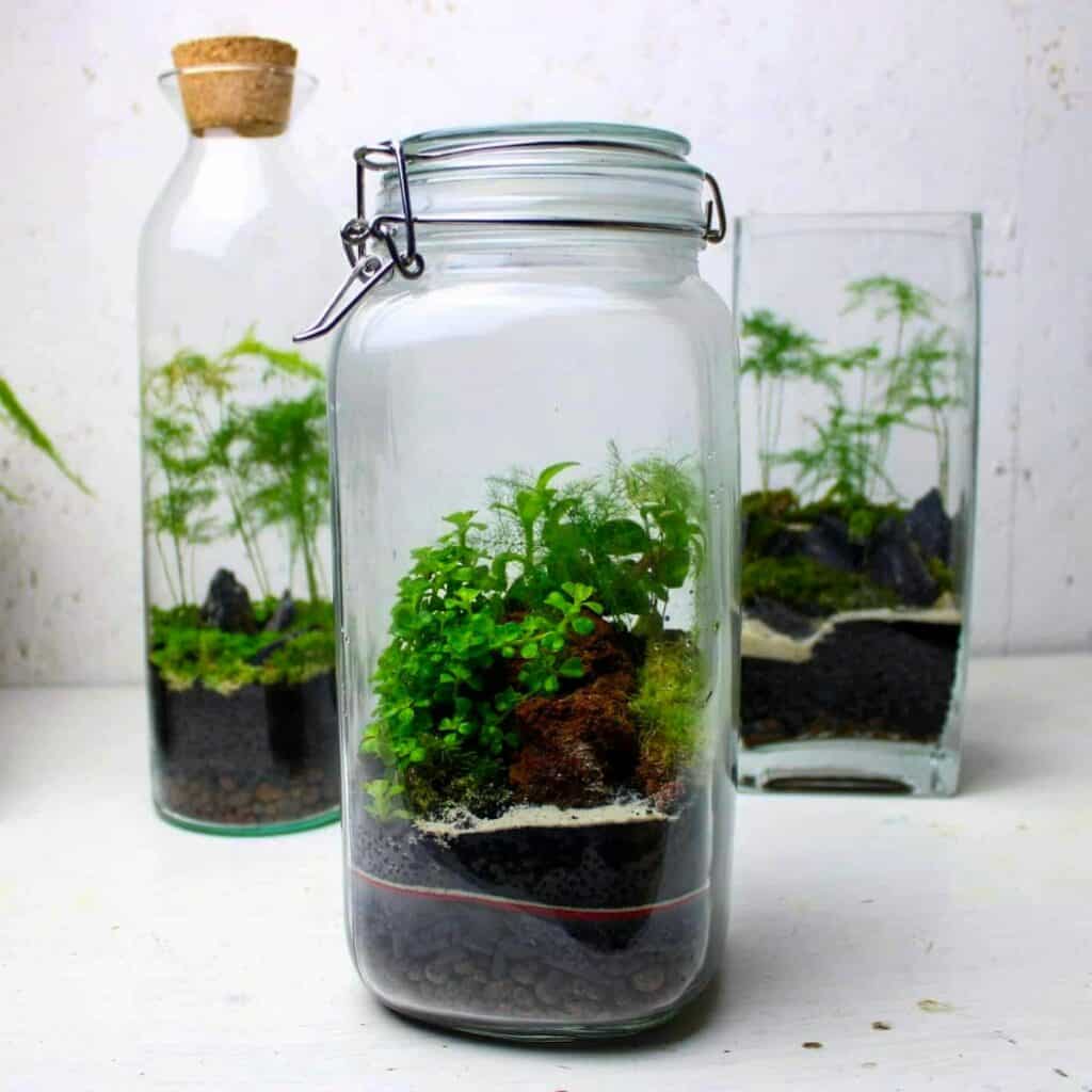 12+ Creative DIY Terrarium Ideas to Try - Get Your Craft On!