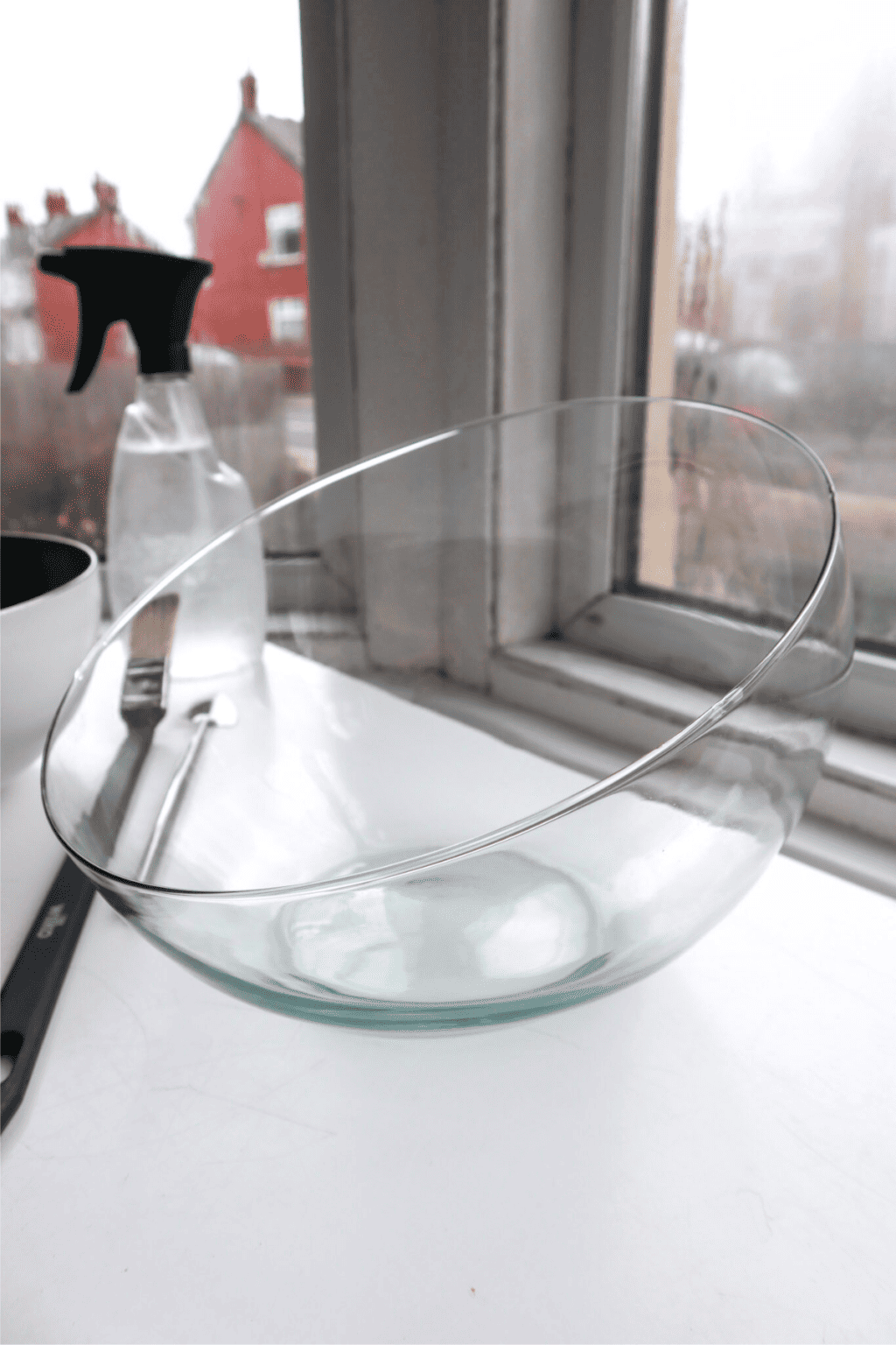 Open Terrarium 101: The Best Plants, Projects & Care Tips - Terrarium Tribe