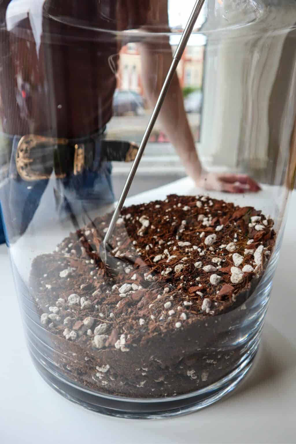 Closed Terrarium Layers: The Correct Order (+ Their Functions)