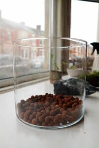 Closed Terrarium Layers: The Correct Order (+ Their Functions)