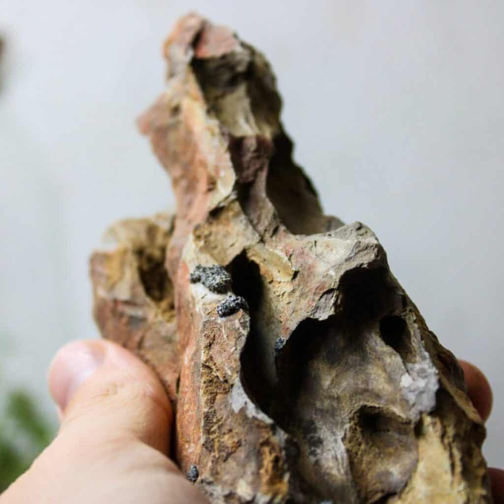 3 Creative Ways to Use Dragon Stone (Ohko) In Your Terrarium