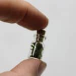 How to Make a Mini Terrarium: 5 Tiny Terrariums to Try Today