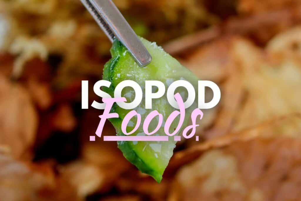 What Do Isopods Eat? (& The Best Isopod Food Options) - Terrarium Tribe