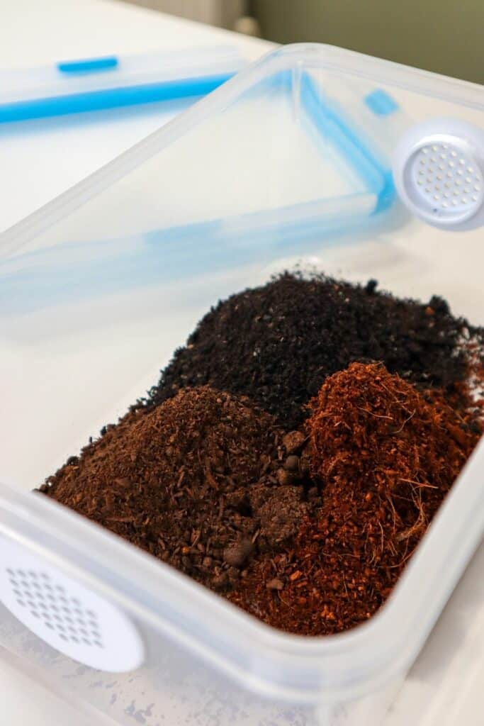 Isopod Substrate Guide: The Best Materials and Mixes to Use