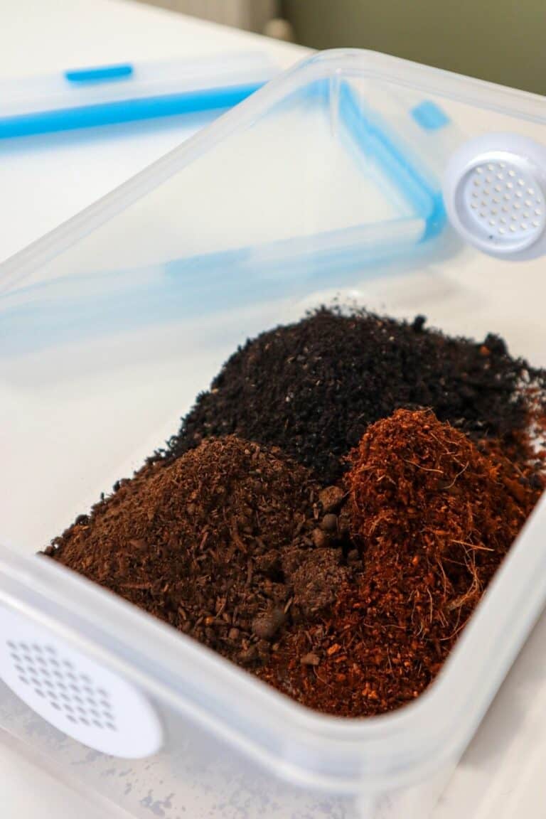 Isopod Substrate Guide: The Best Materials and Mixes to Use