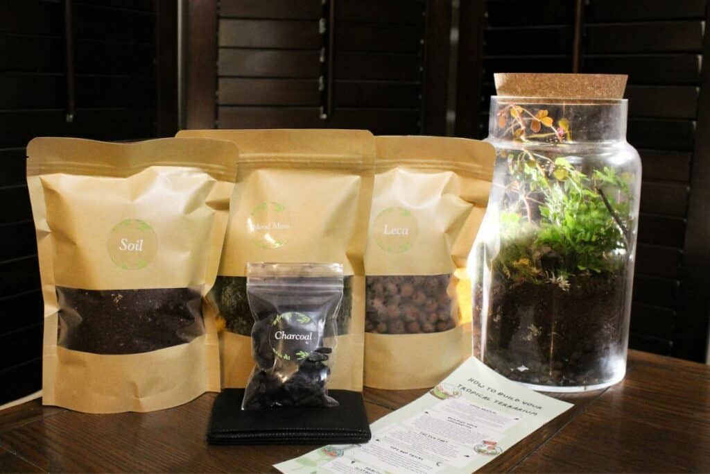 Discover the Best Terrarium Kits for Sealed (Live) Projects