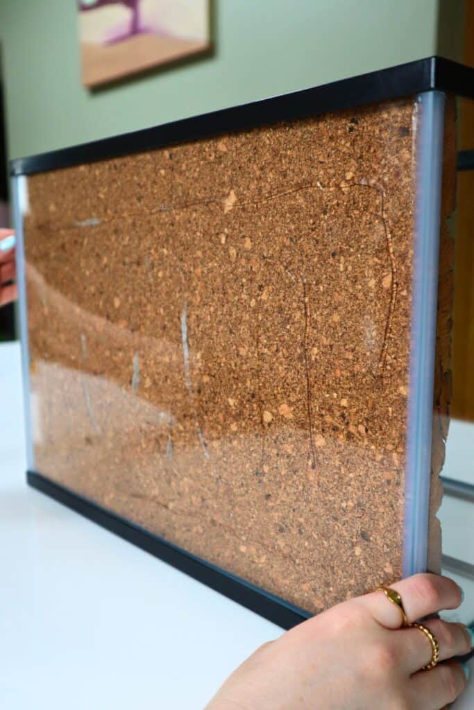 How to Make a DIY Terrarium Background (Step-by-Step)