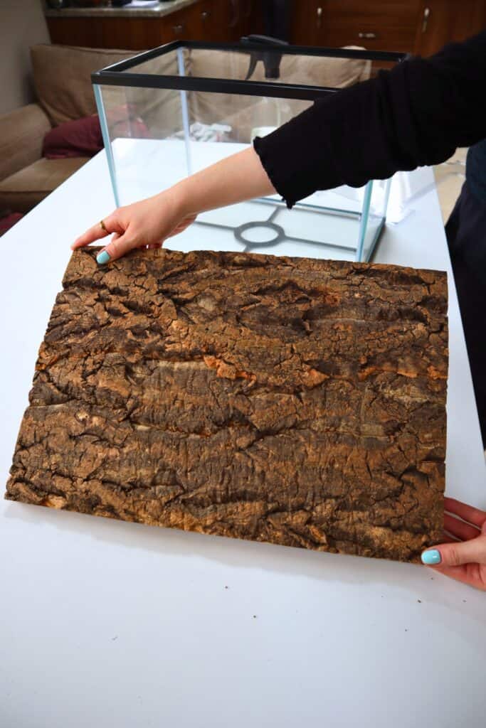 How to Make a DIY Terrarium Background (Step-by-Step)