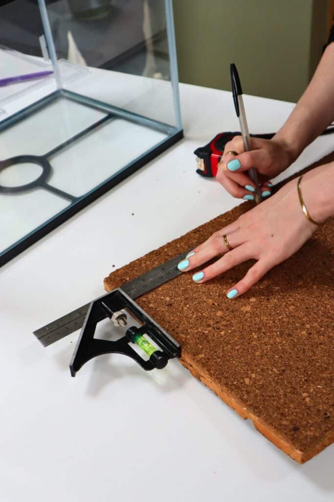 How to Make a DIY Terrarium Background (Step-by-Step)