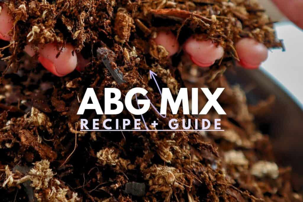 ABG Mix - The Classic Terrarium Substrate (+ Recipe)