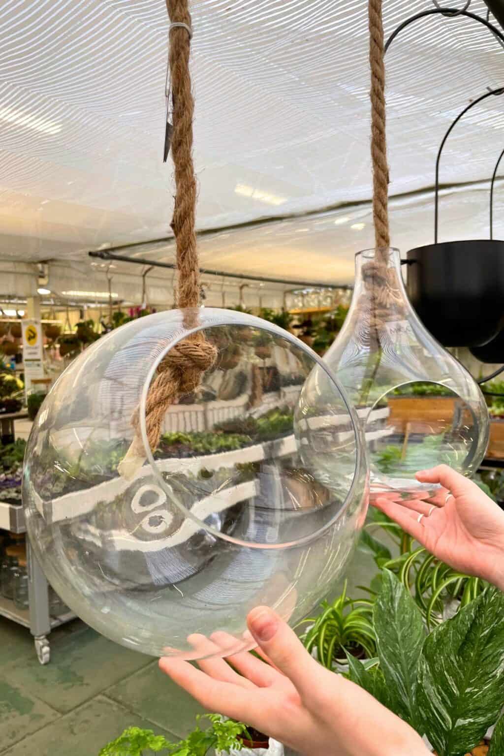 How to Make an Air Plant Terrarium [An Easy Breezy Guide]