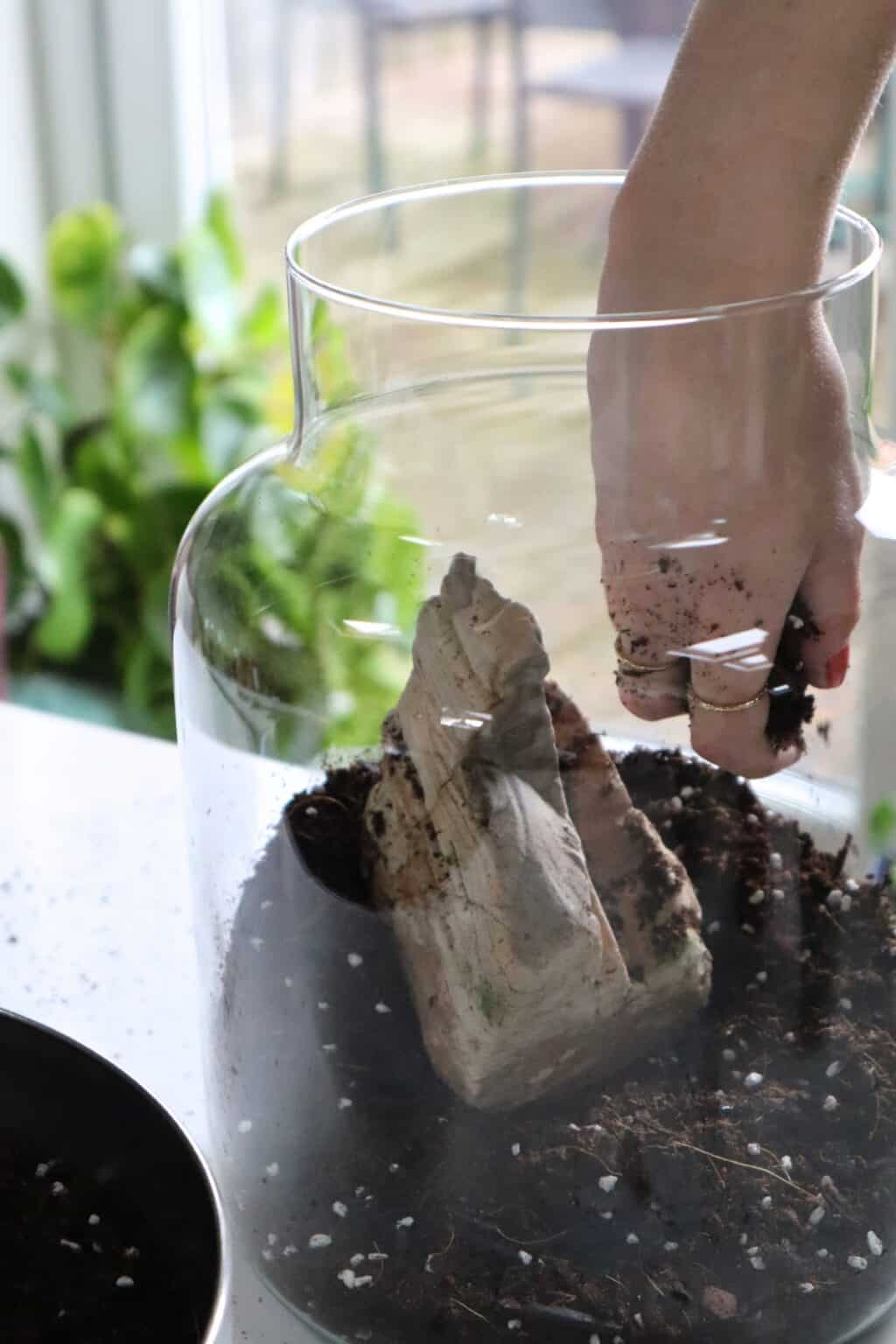 How to Make a Radiant Terrarium Lamp [DIY Guide]