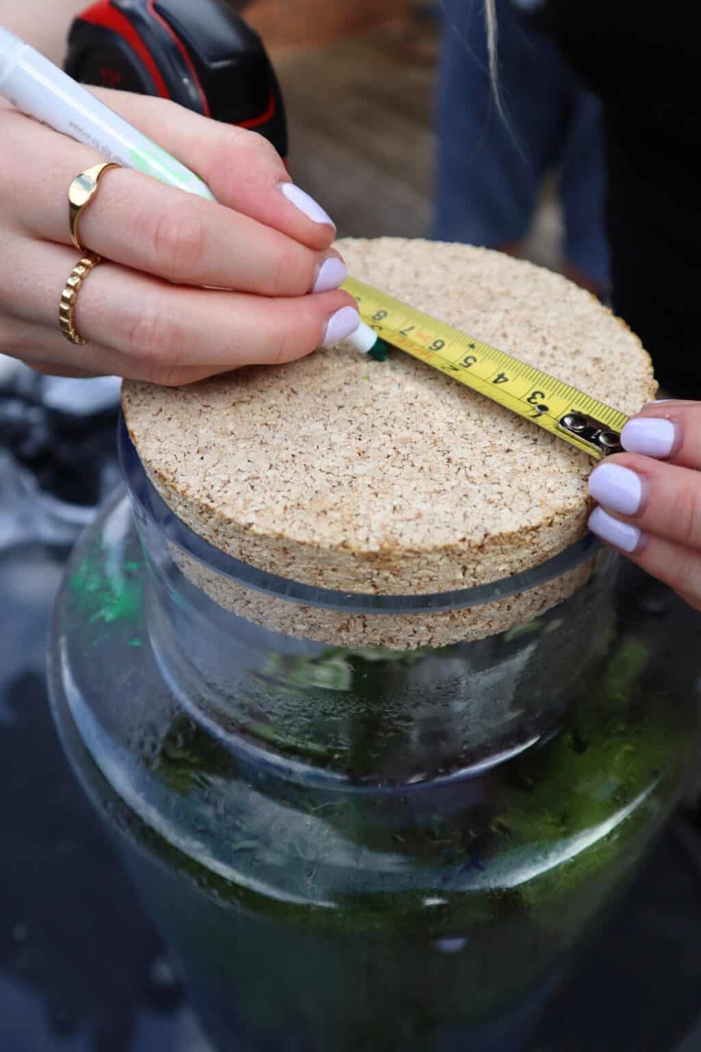 How to Make a Radiant Terrarium Lamp [DIY Guide]