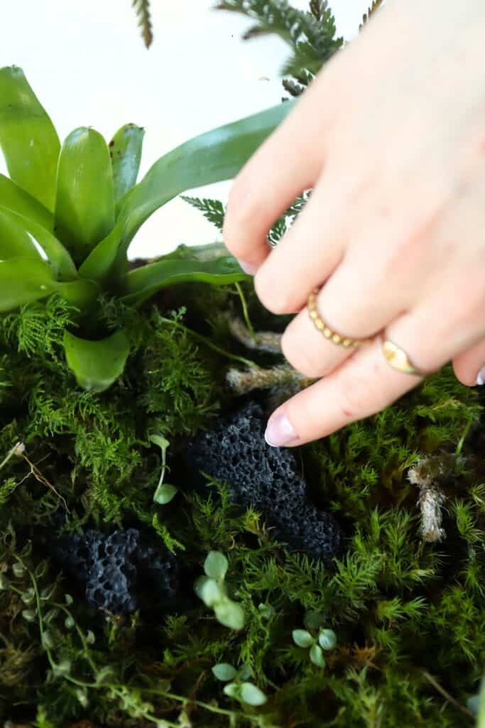 5 Visually Stunning Terrarium Rocks for Creative Planting
