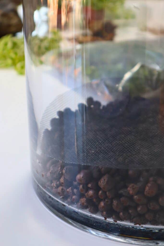 How to Make a Bioactive Substrate Mix (Recipe + Guide)