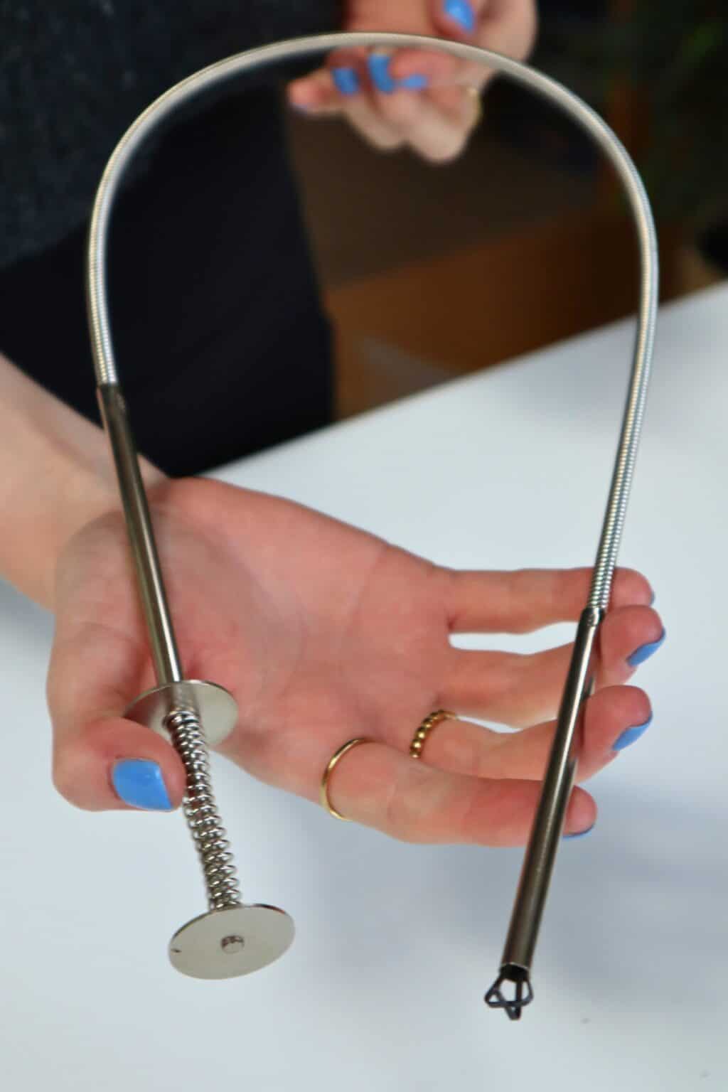 6 Must-Have Terrarium Tools for Any Budding Builder (+ Bonus Items)