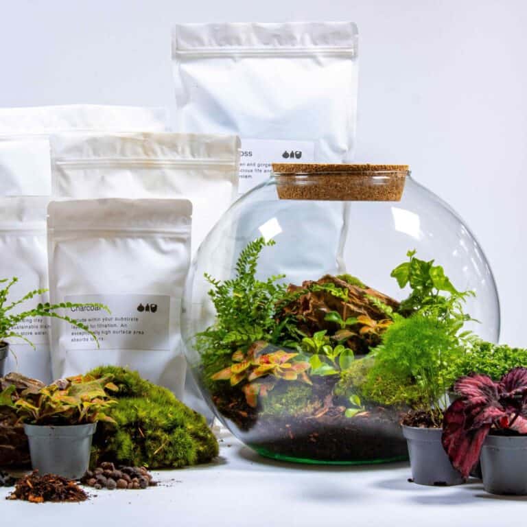 Discover the Best Terrarium Kits for Sealed (Live) Projects