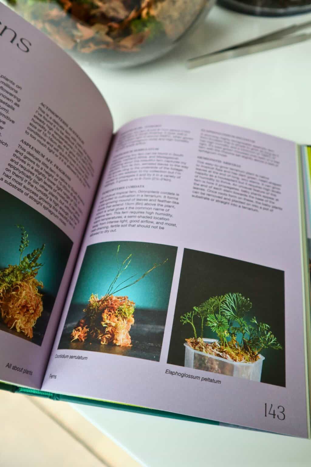 10 Awesome Plant & Terrarium Books (To Guide and Inspire)