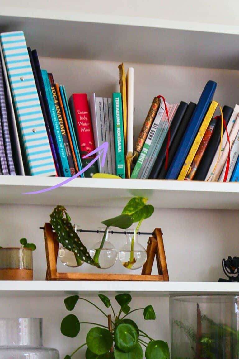 10 Awesome Plant & Terrarium Books (To Guide and Inspire)