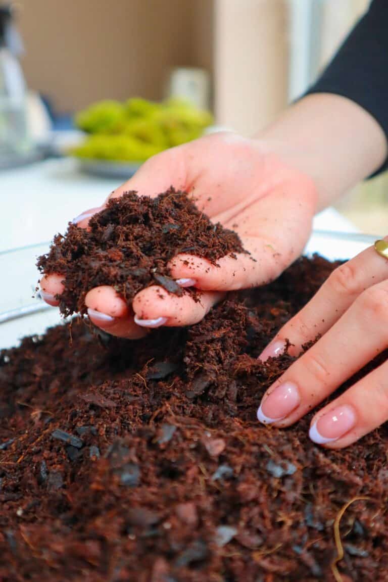 ABG Mix - The Classic Terrarium Substrate (+ Recipe)