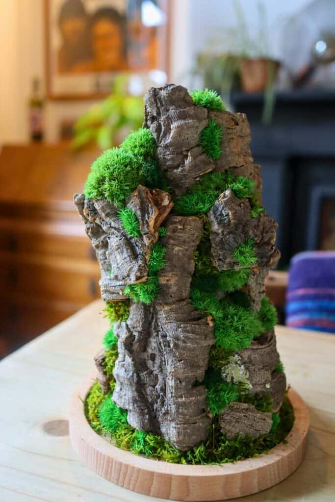 The Timeless Beauty of Preserved Moss Terrariums - Terrarium Tribe