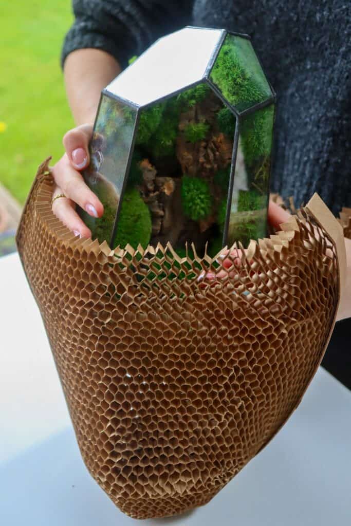 The Timeless Beauty of Preserved Moss Terrariums - Terrarium Tribe