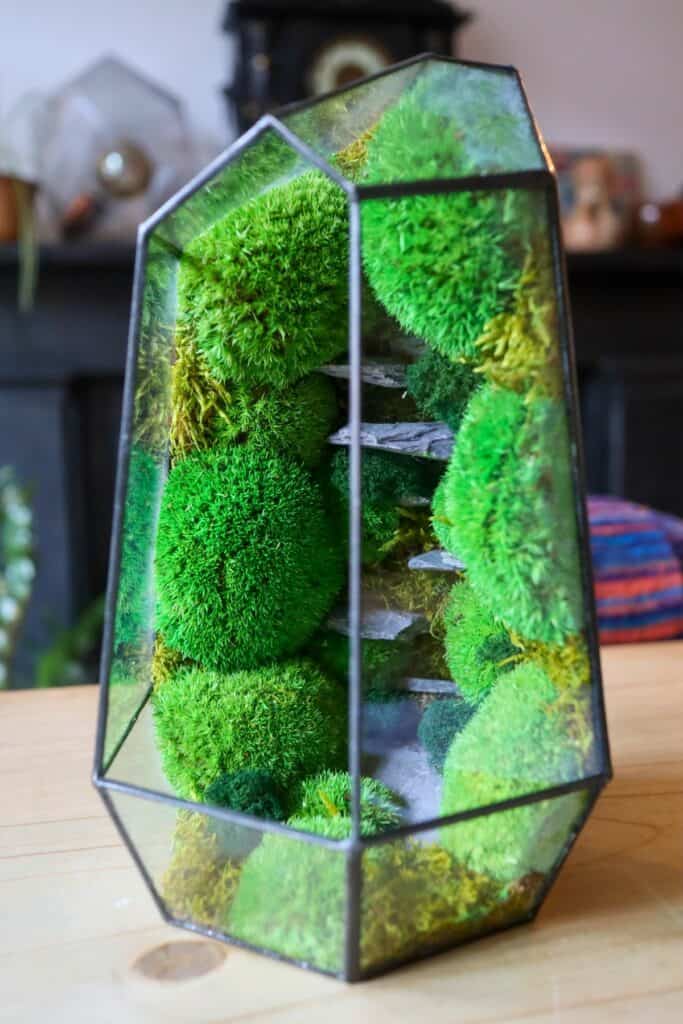 The Timeless Beauty of Preserved Moss Terrariums - Terrarium Tribe