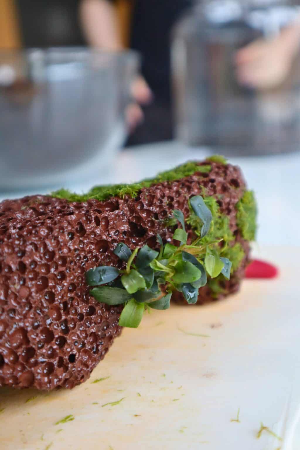 5 Visually Stunning Terrarium Rocks for Creative Planting