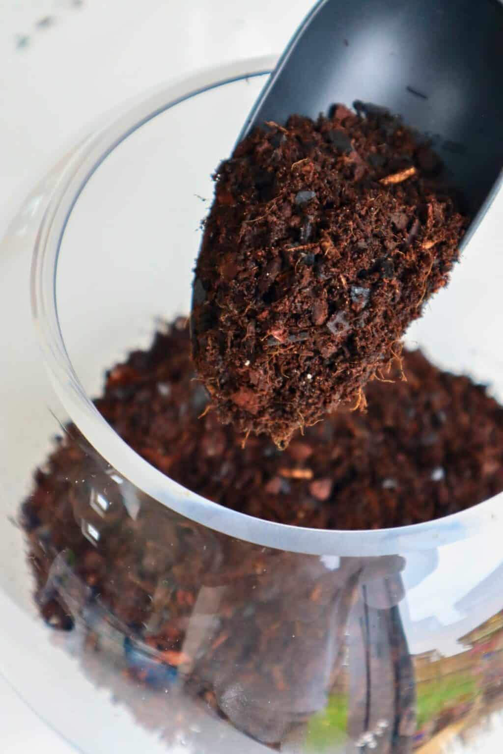 How to Make a Cute Pet Snail Terrarium (Easy Guide)