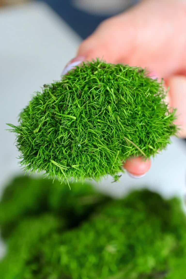 How to Make a Vibrant Preserved Moss Wall (8 Simple Steps)