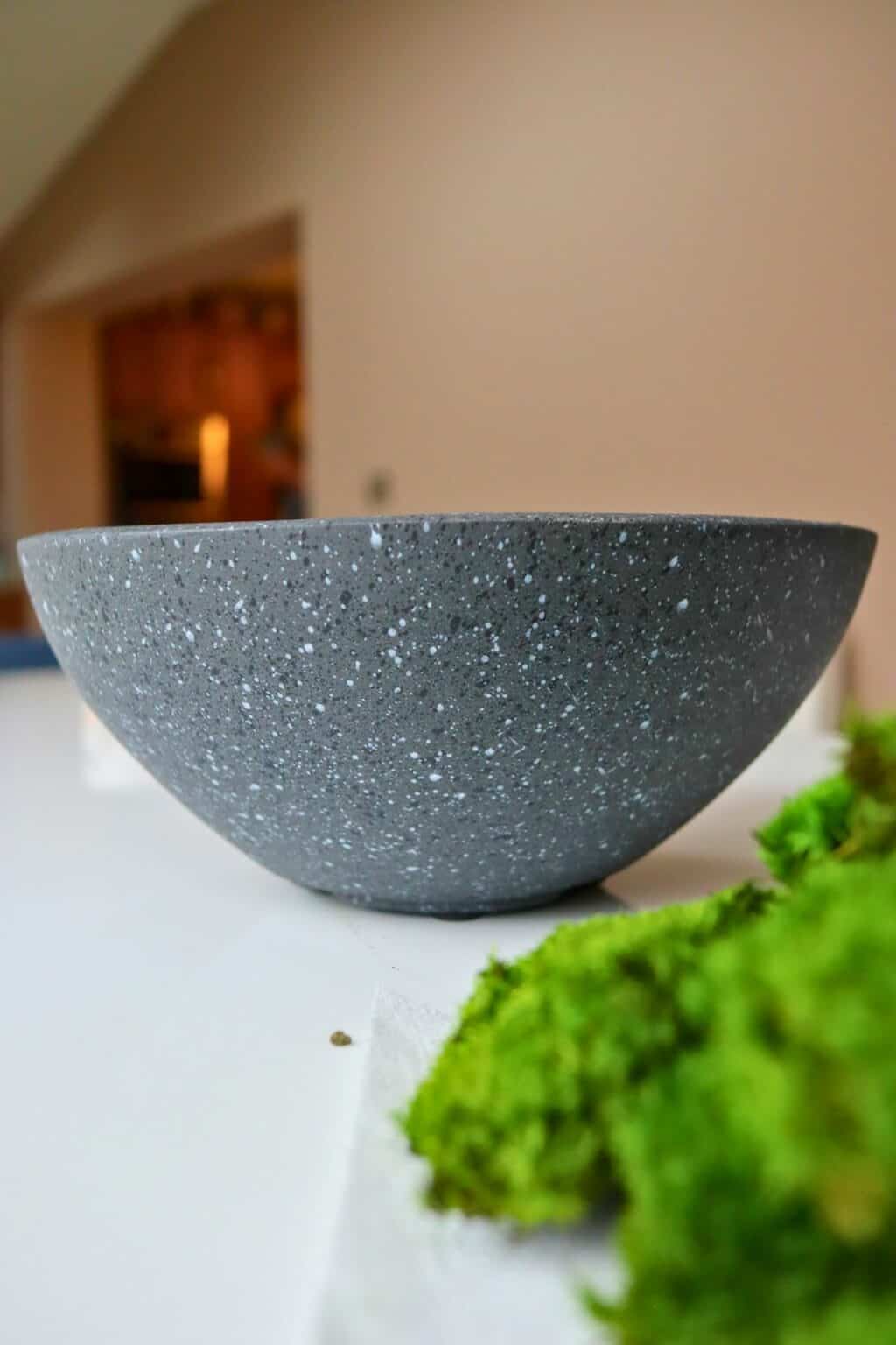 How to Make a Moss Bowl (Preserved) DIY Guide