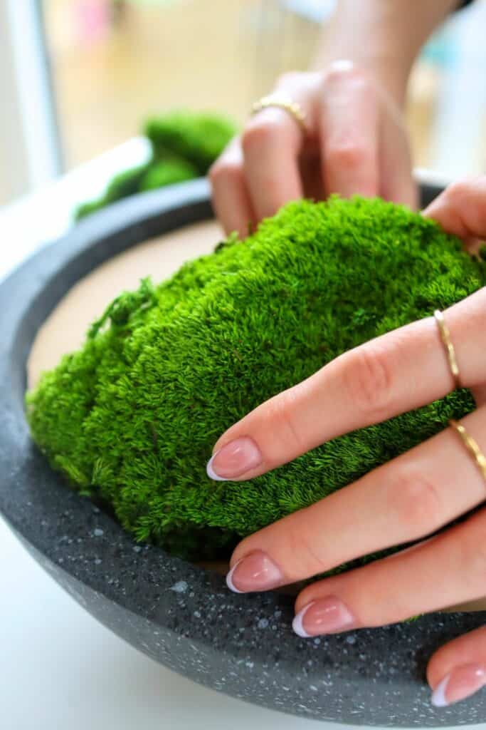 How to Make a Moss Bowl (Preserved) DIY Guide