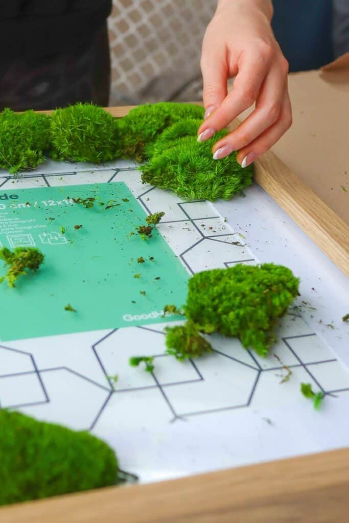 How to Make a Vibrant Preserved Moss Wall (8 Simple Steps)