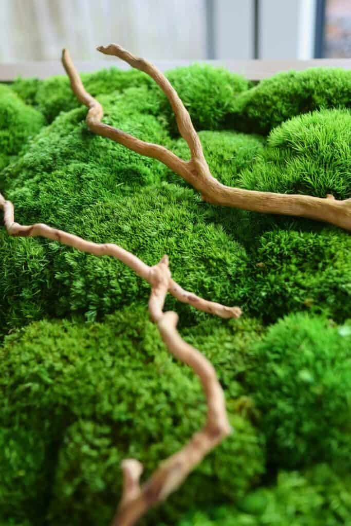 How to Make a Vibrant Preserved Moss Wall (8 Simple Steps)