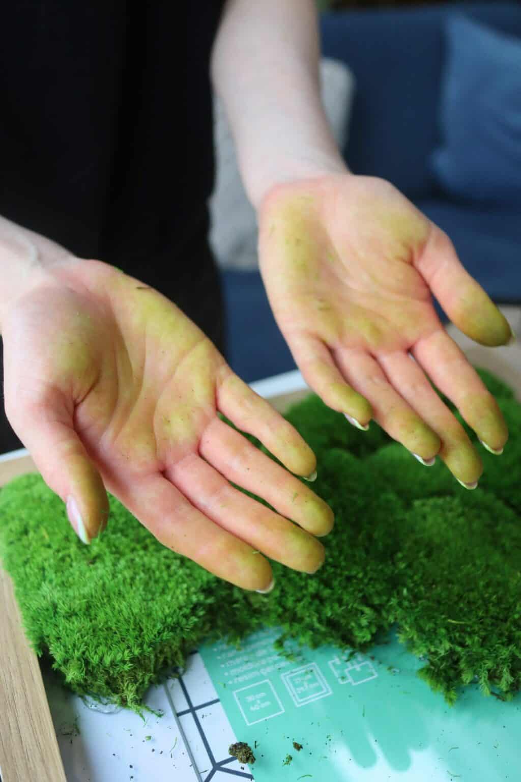 How to Make a Vibrant Preserved Moss Wall (8 Simple Steps)