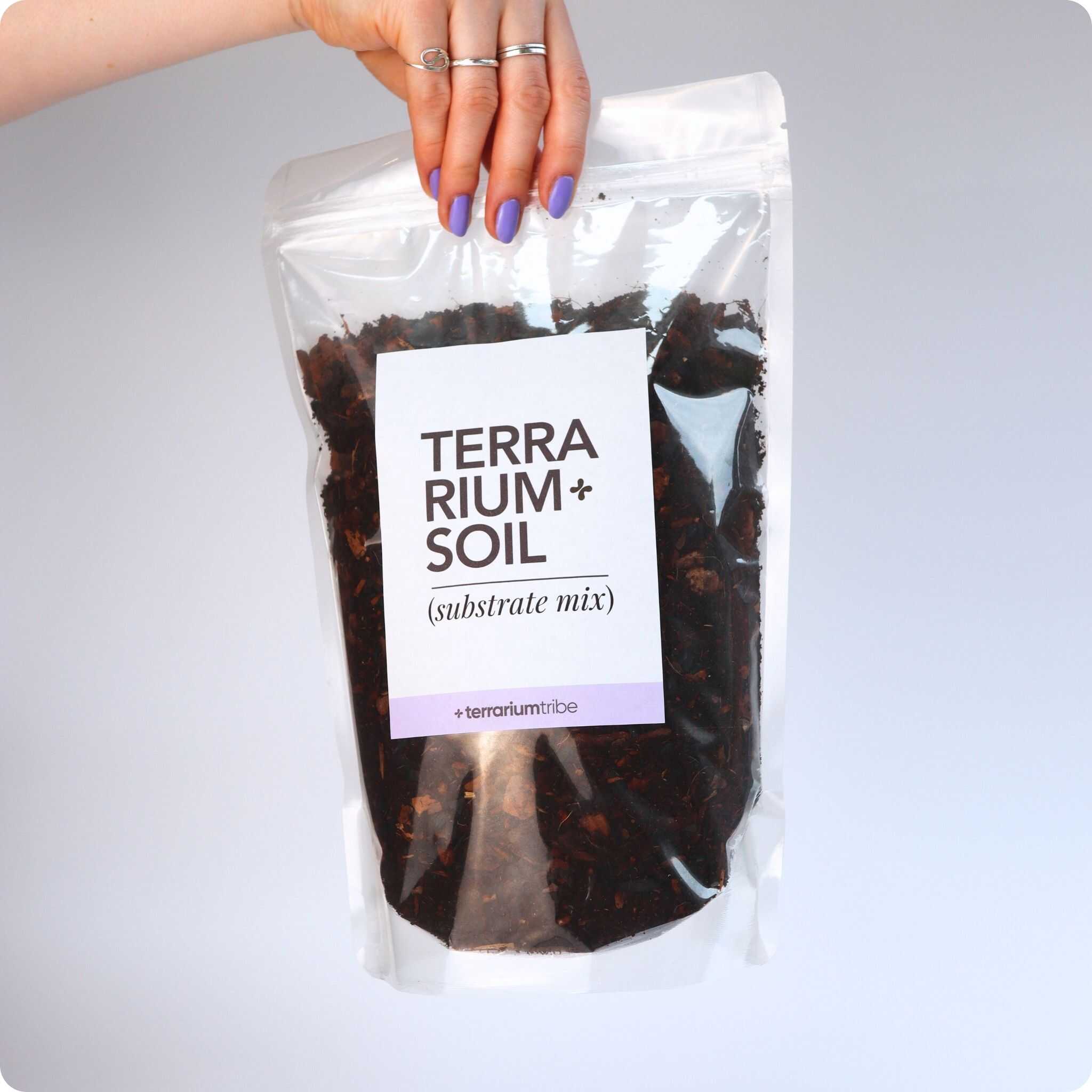 Terrarium Layers: A Step-By-Step Guide to Building Success