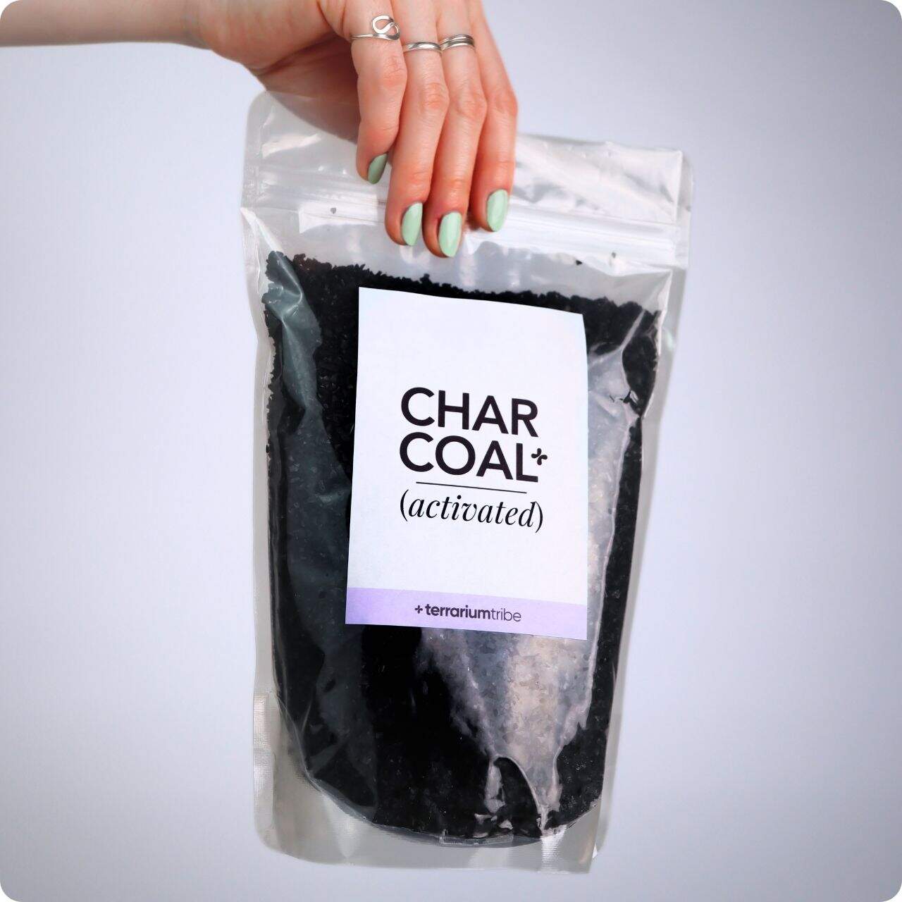 Terrarium False Bottom 101 - How to Make a Drainage Layer