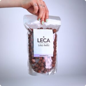 How to Use Leca in Terrariums (Drainage Layer Guide)