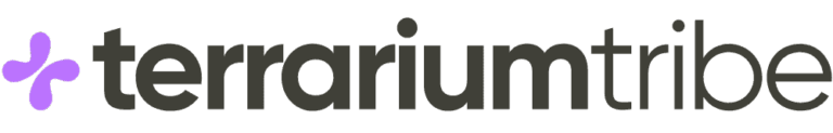 How to Make a DIY Terrarium Background (Step-by-Step)